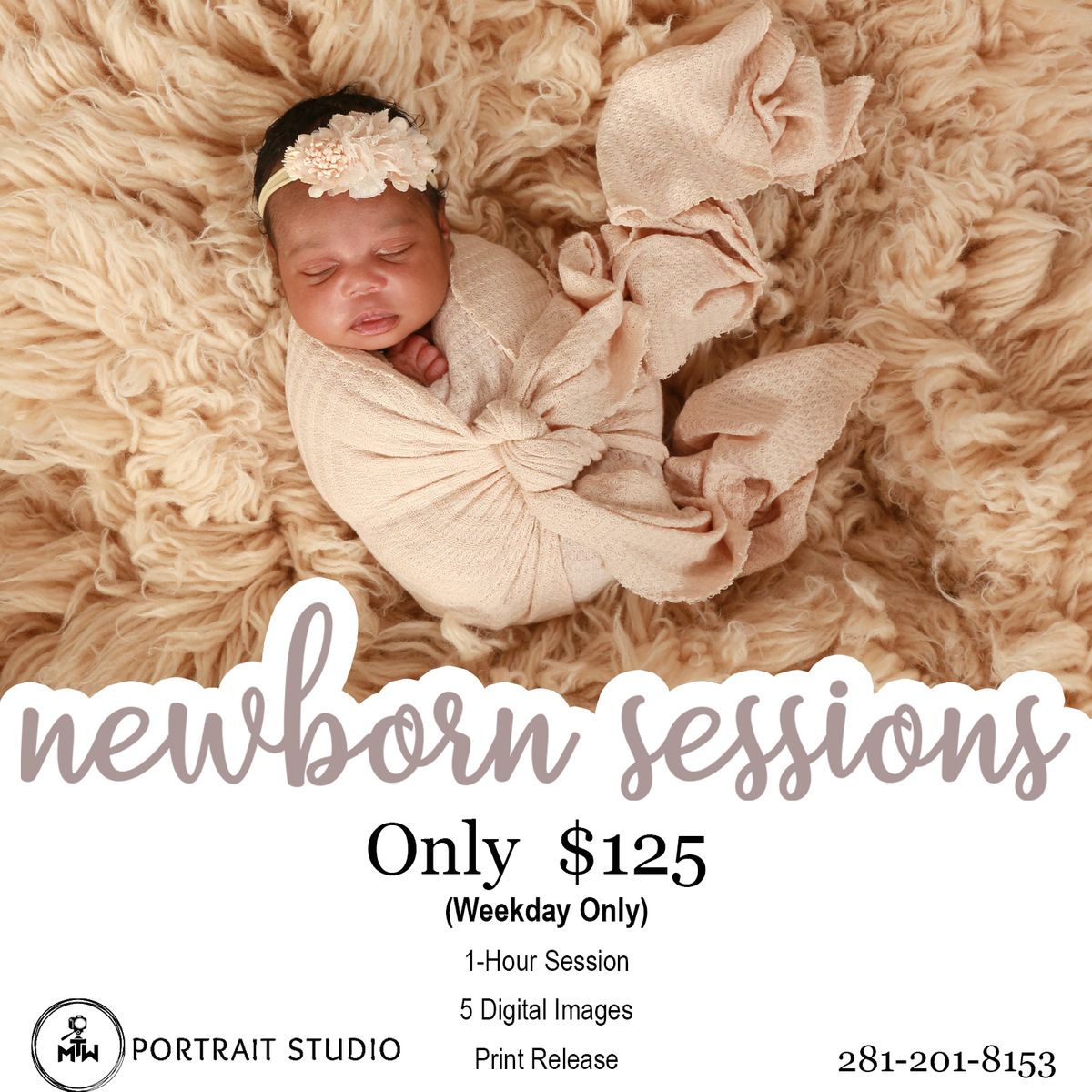 NEWBORN WEEKDAY SPECIAL - MTW Portrait Studio